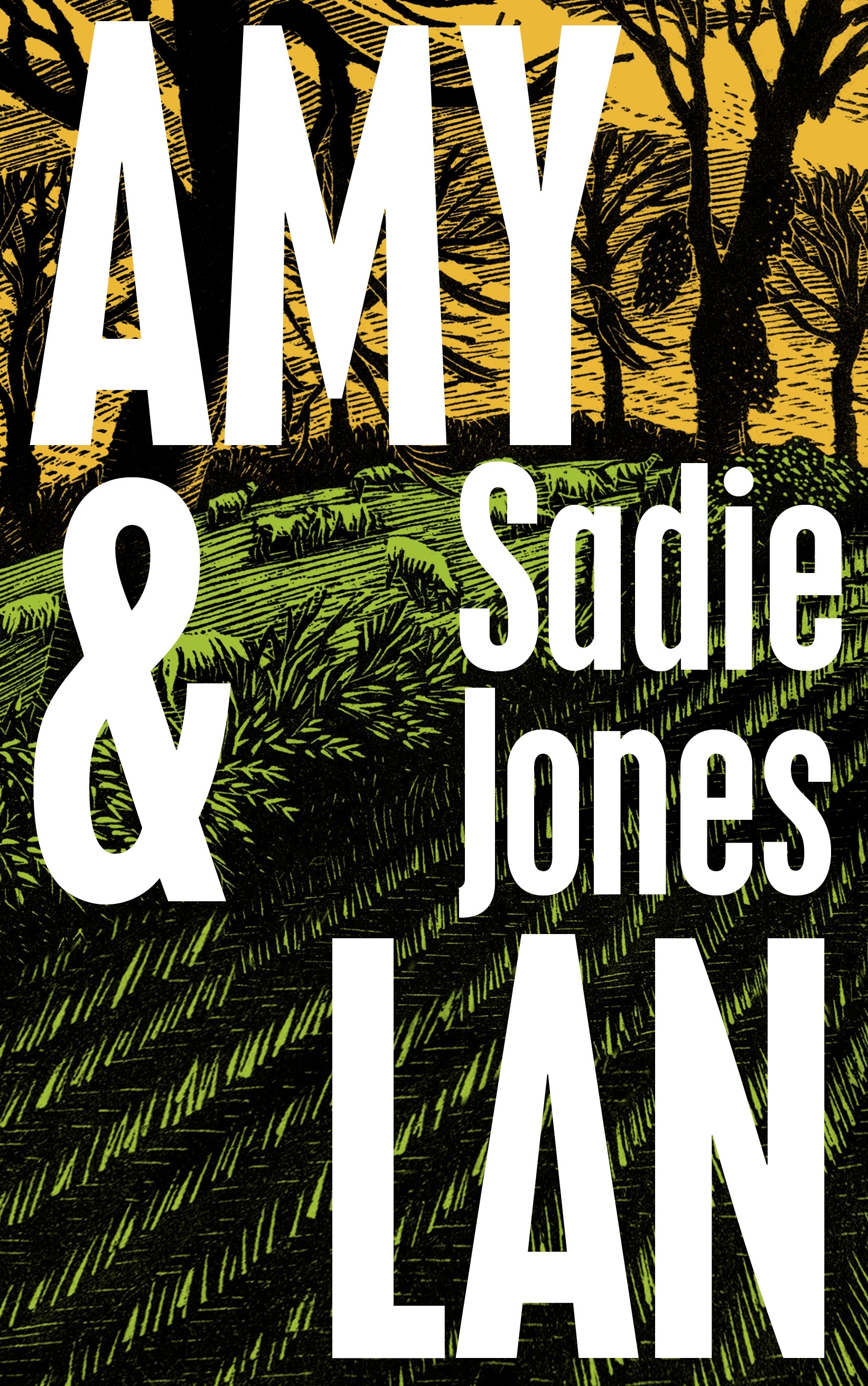 Six New Fiction Picks – put these on the wish-list – Judith McKinnon