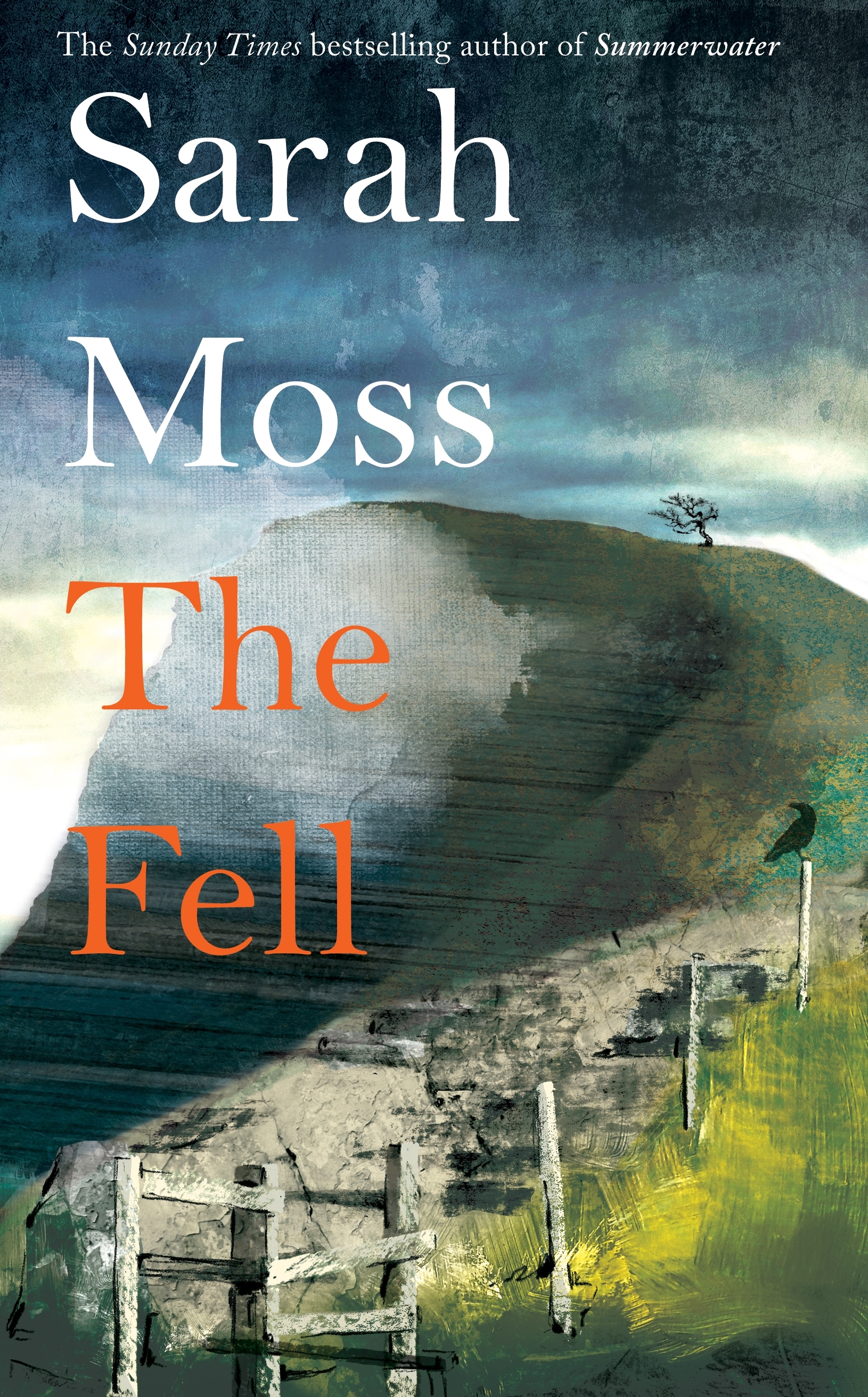 Book Review: The Fell by Sarah Moss – an empathetic and gripping story ...