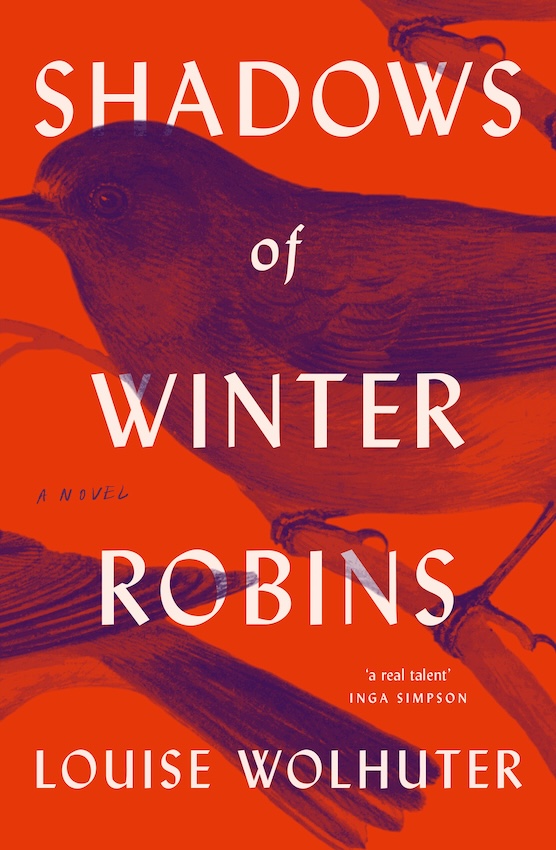 Book Review: Shadows of Winter Robins by Louise Wolhuter – a tense ...